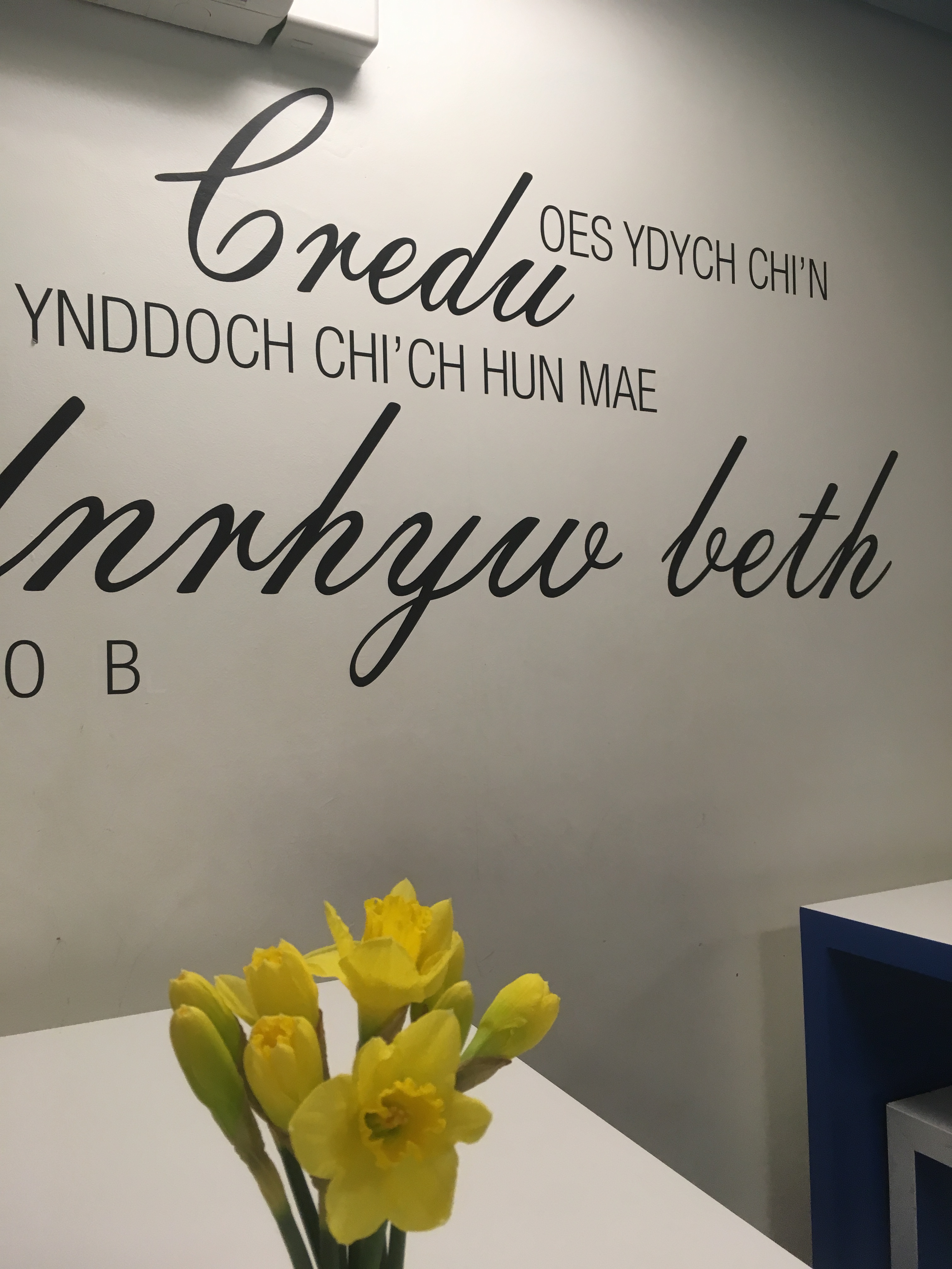 Celebrating 'Welsh Week' | Gower College Swansea