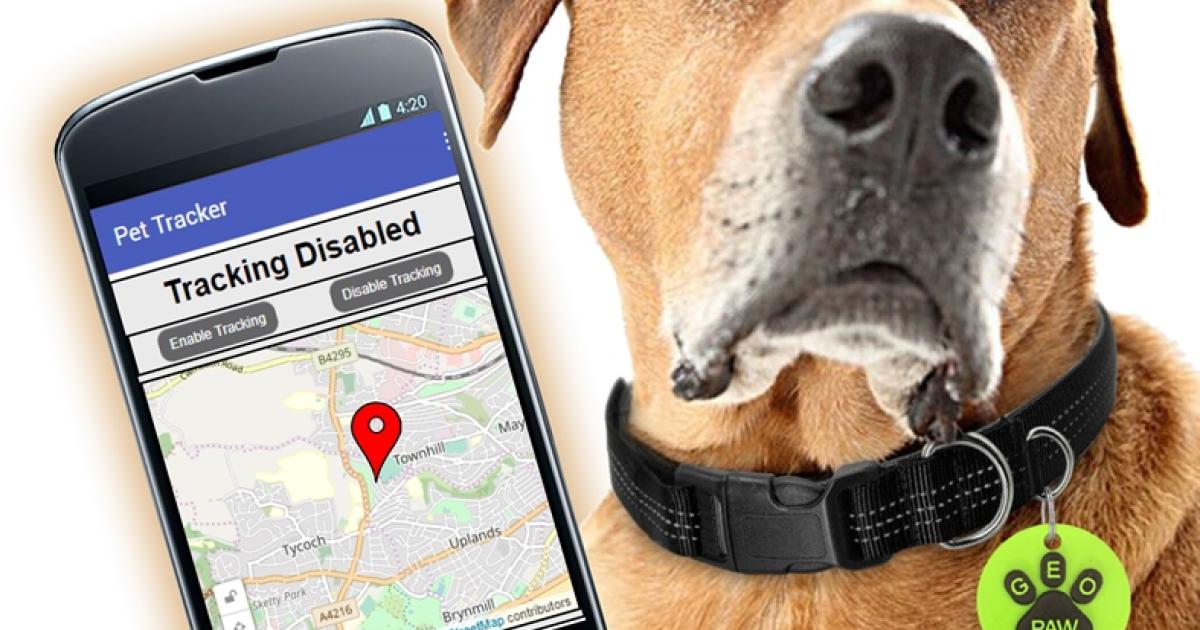 Tracker for pesky pets a hit for IT students | GCS