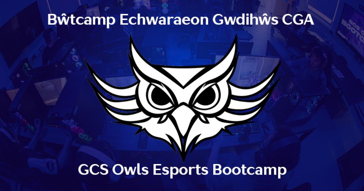 Students participate in first GCS Owls Esports Bootcamp | GCS